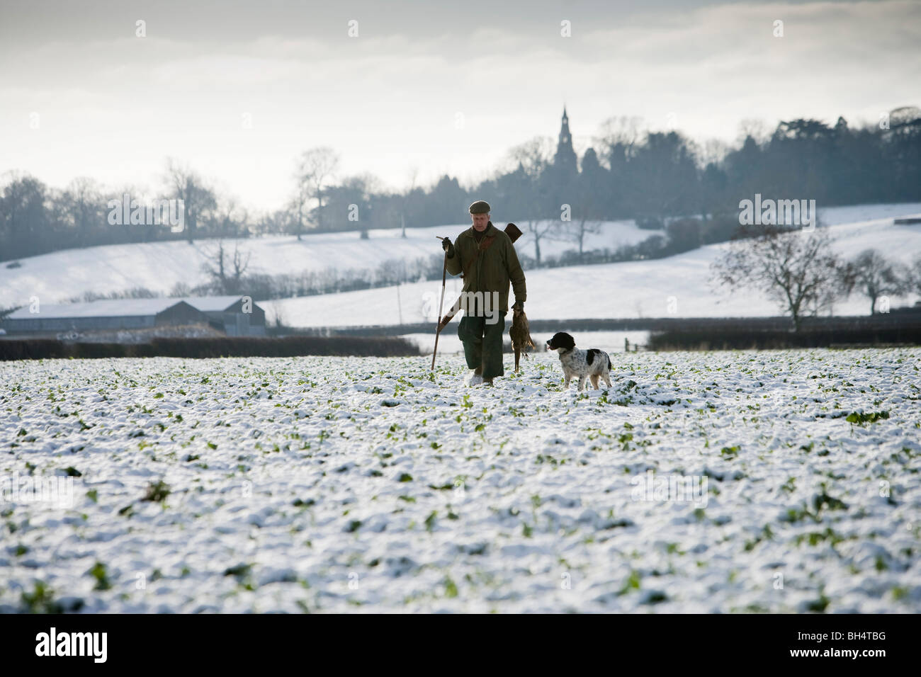 Gunner with Springer Spaniel during pheasant shoot. Little Dalby Estate ...