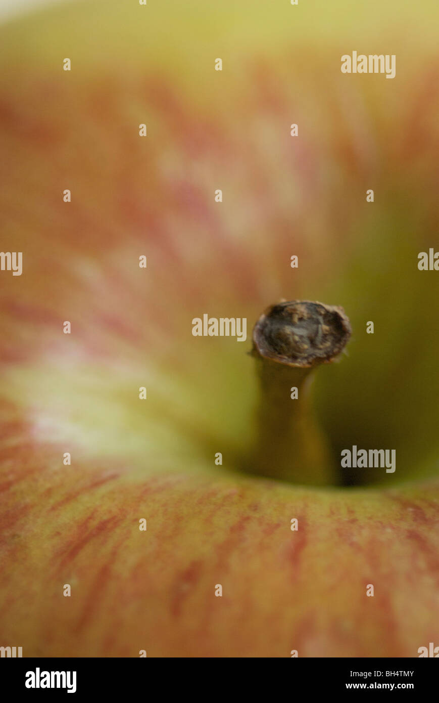 Close-up of an apple Stock Photo - Alamy