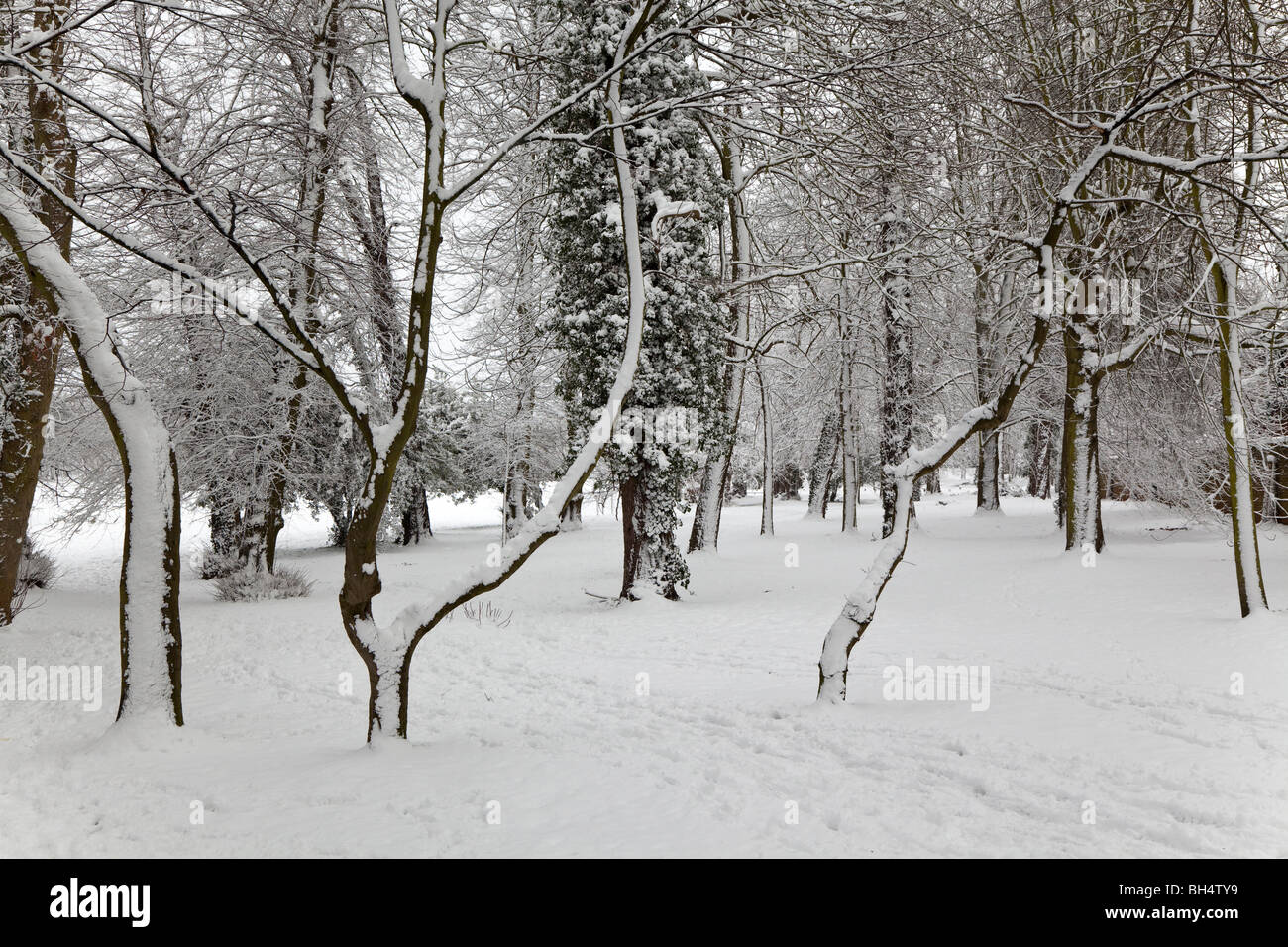 Reigate Snow High Resolution Stock Photography and Images - Alamy