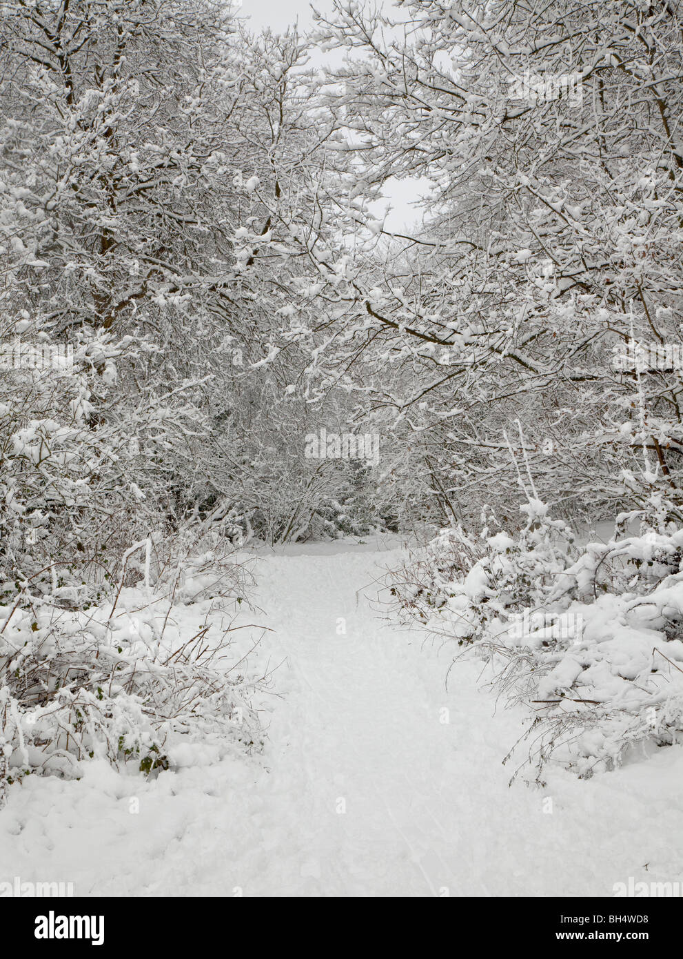 Winter snow scene of Priory park Reigate, Surrey, winter of 2010 Stock ...