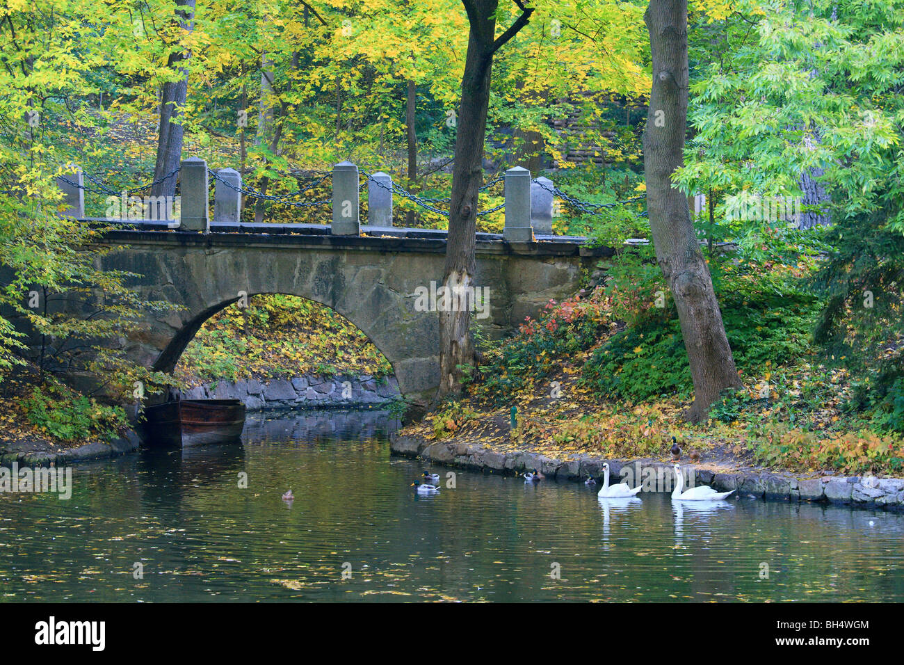 Pond water surface with reflection of colorful trees and swimming birds ...