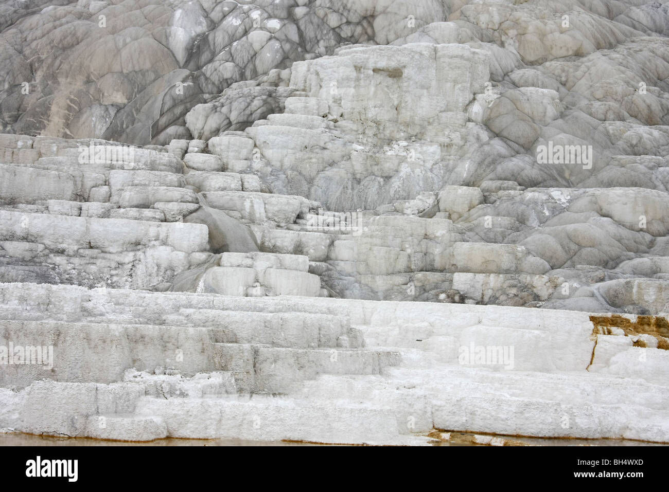 Travertine terraces at mammoth hot springs hi-res stock photography and ...