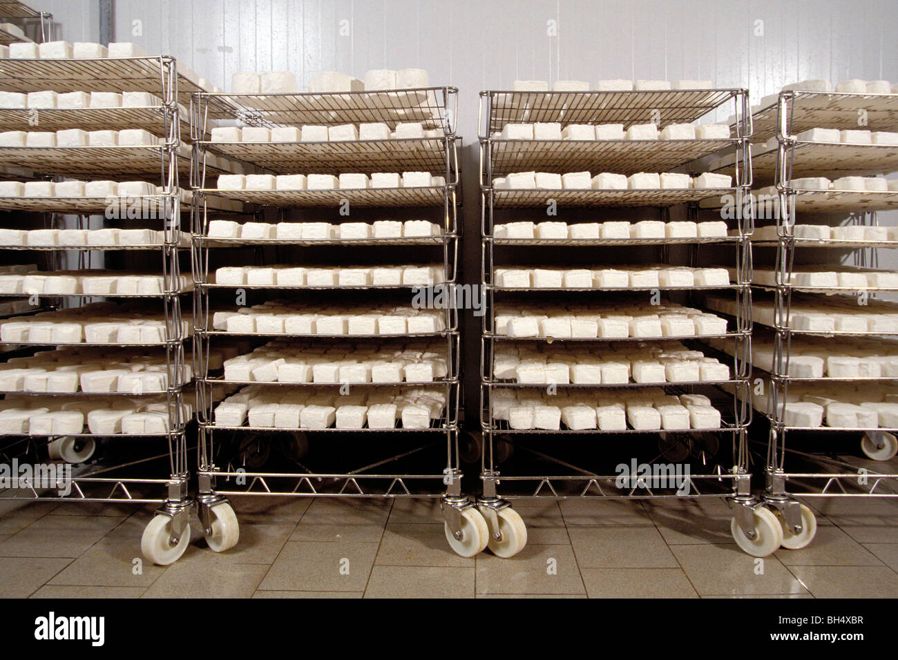 Maturation cheese france hi-res stock photography and images - Alamy