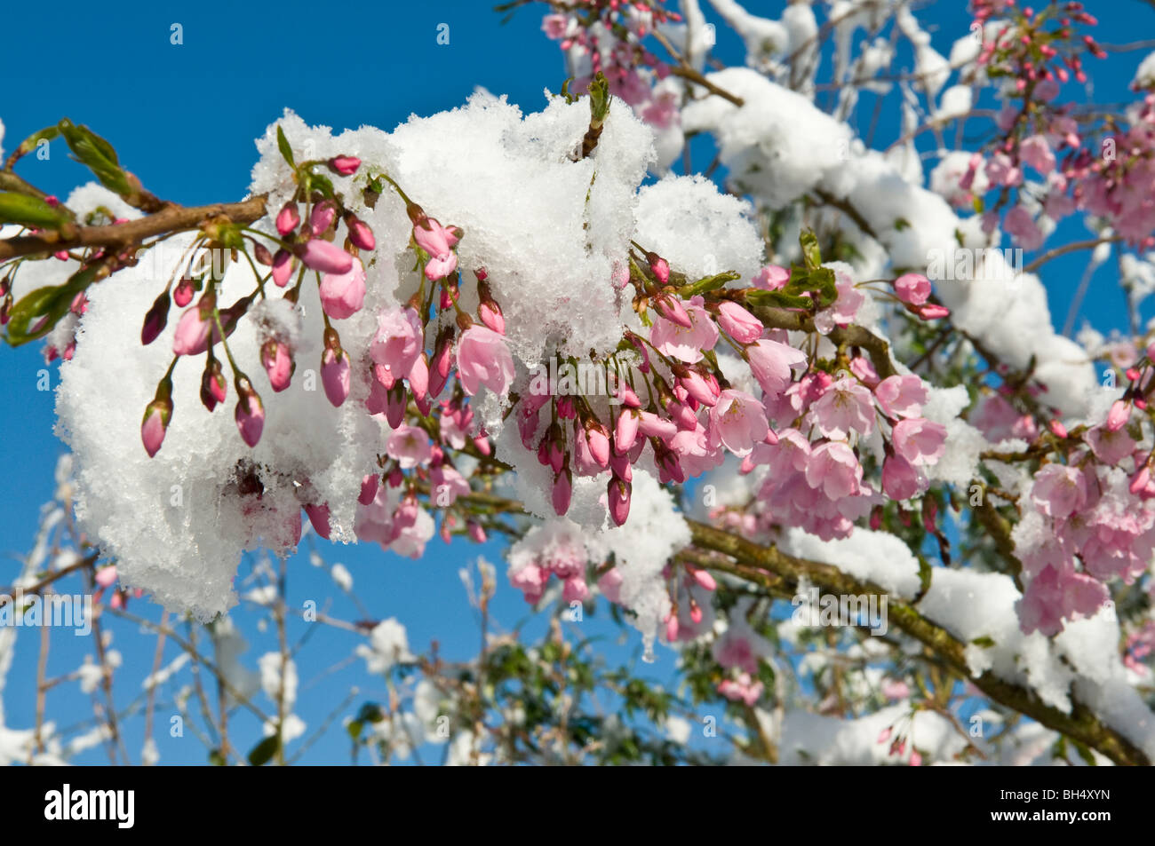 Warwick Snow Winter High Resolution Stock Photography and Images - Alamy