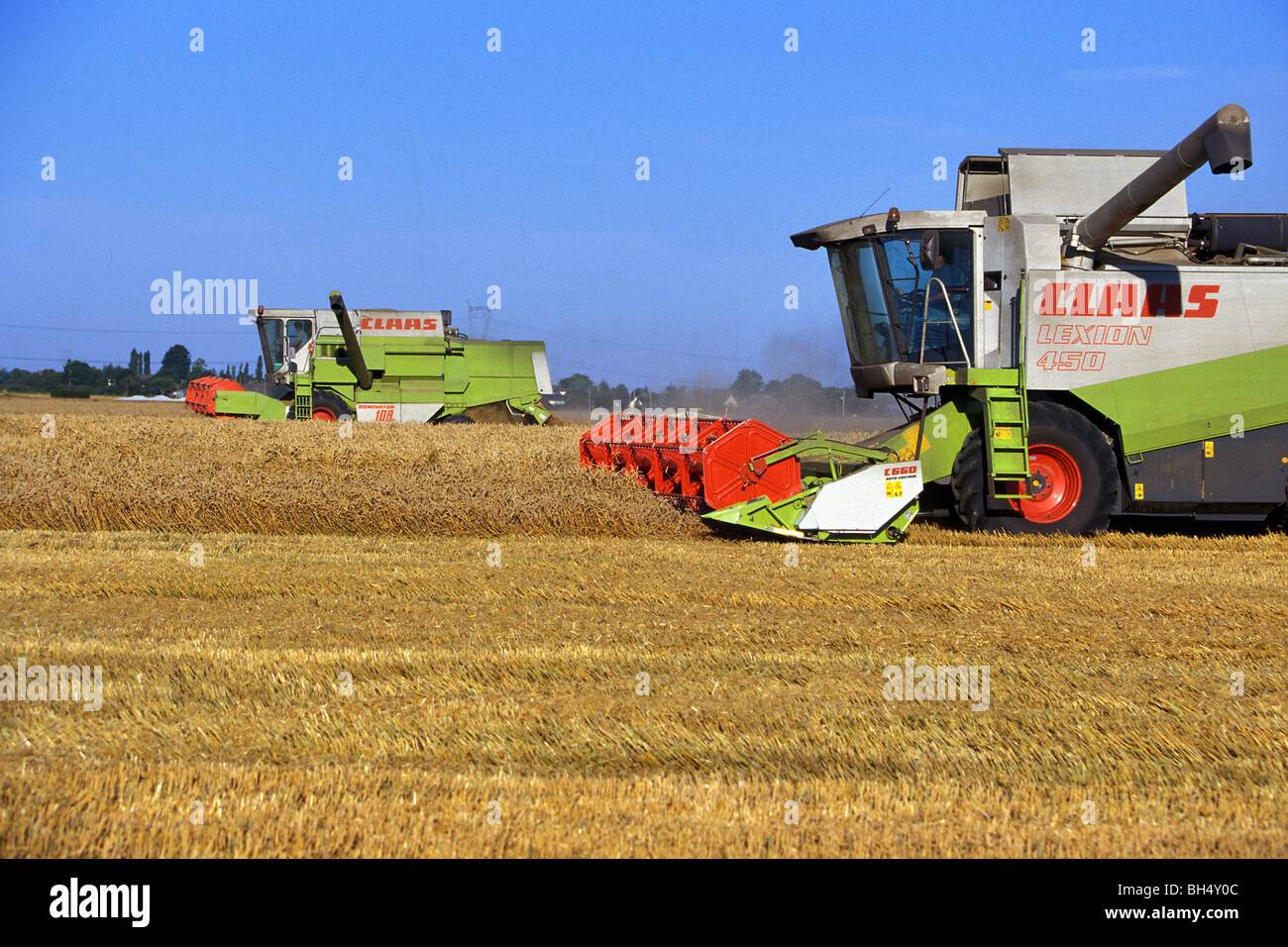 Horizontal photo wheat harvest with two combine harvester hi-res stock ...