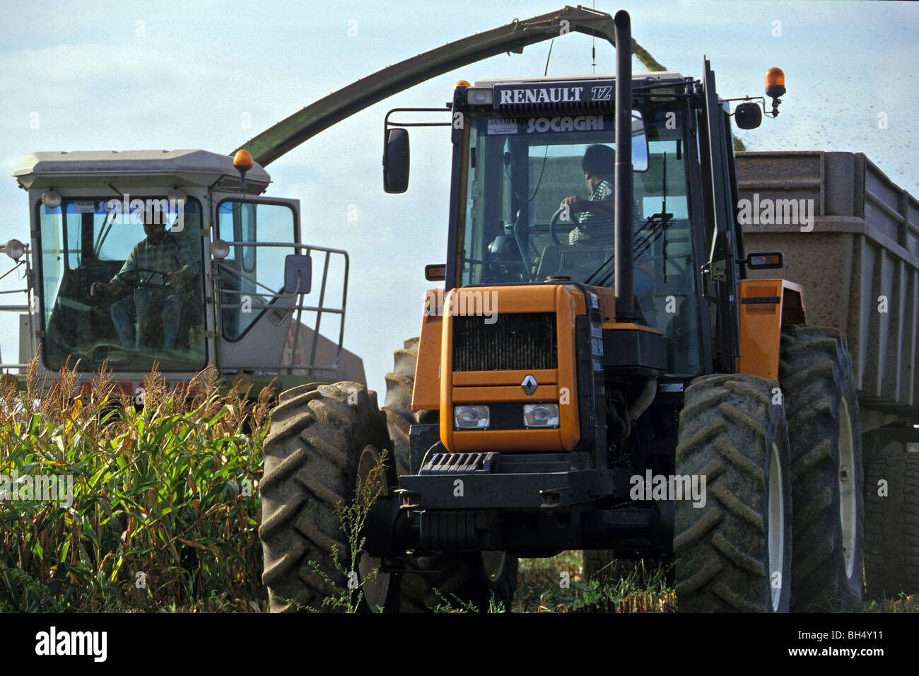 ENSILING CORN, FORAGE HARVESTER, EURE (27 Stock Photo - Alamy