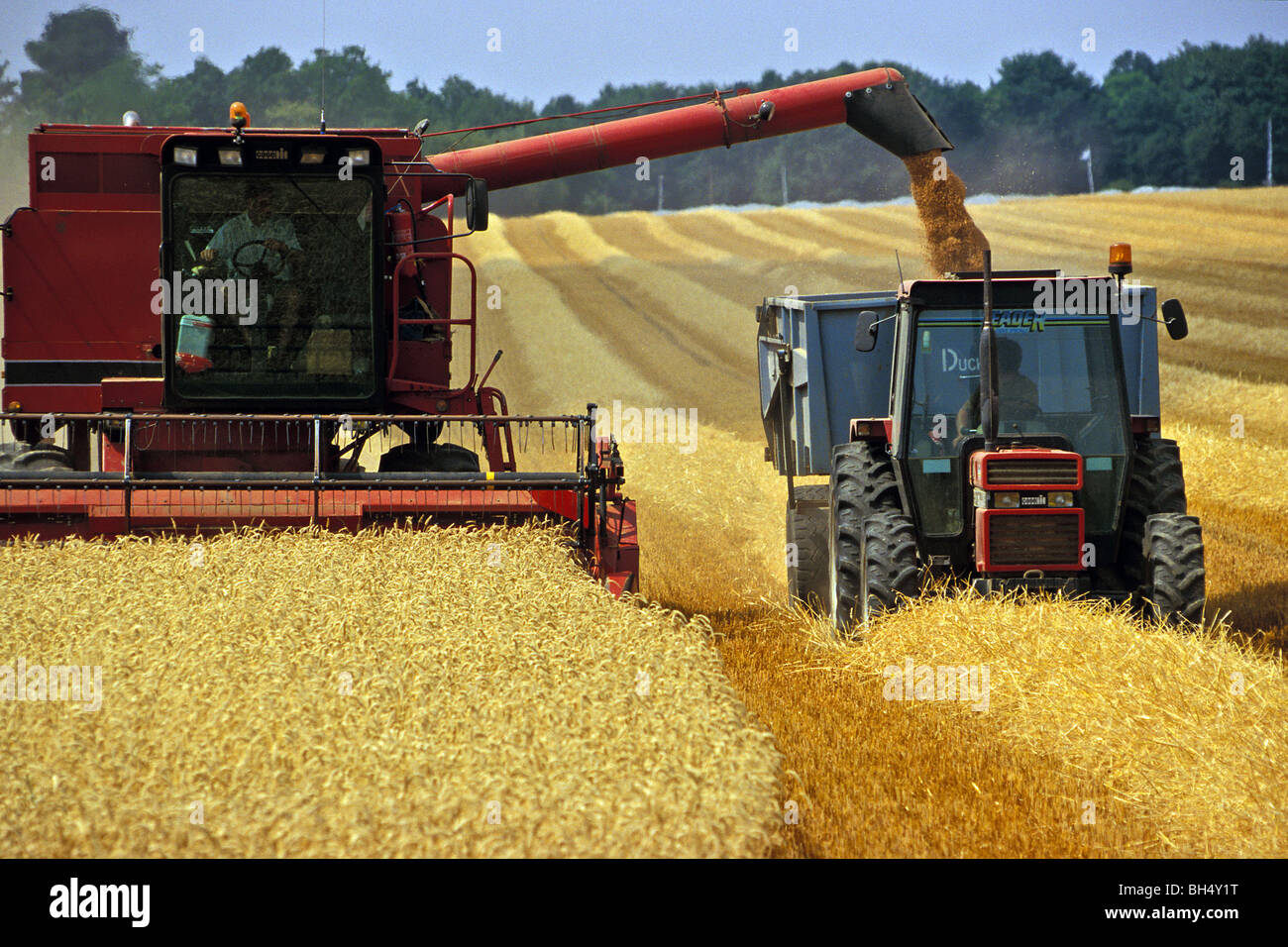 WHEAT HARVEST, COMBINE HARVESTER, EURE (27 Stock Photo - Alamy