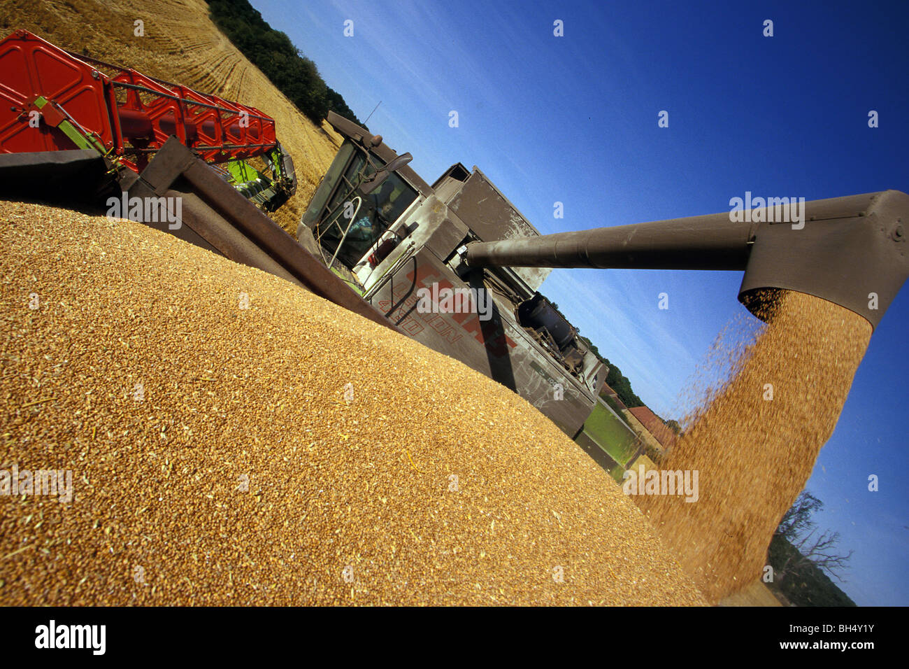 WHEAT HARVEST, COMBINE HARVESTER, EURE (27 Stock Photo - Alamy