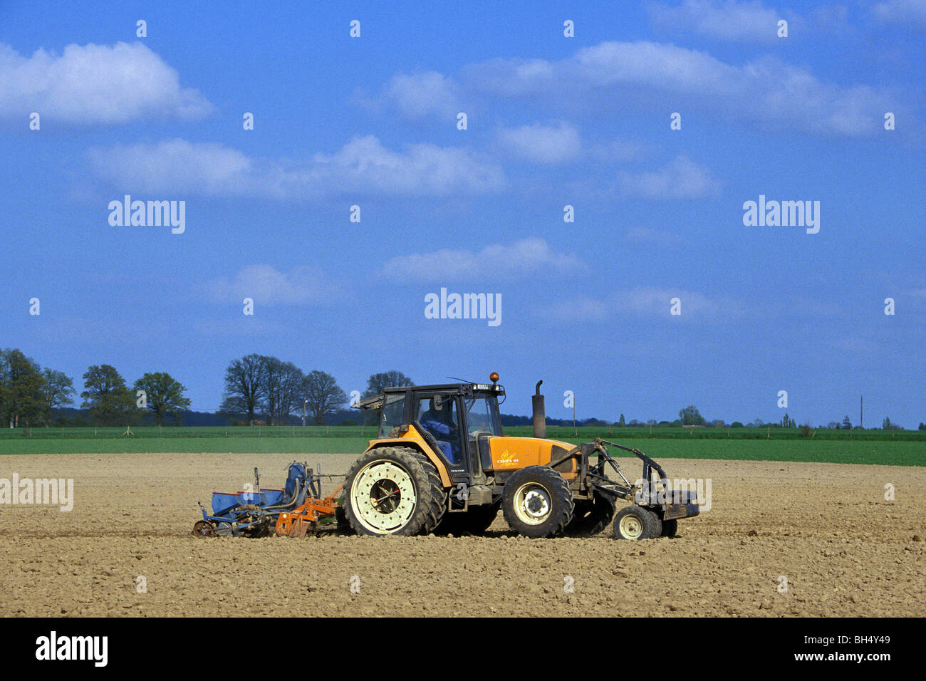 SOWING OF WHEAT Stock Photo - Alamy