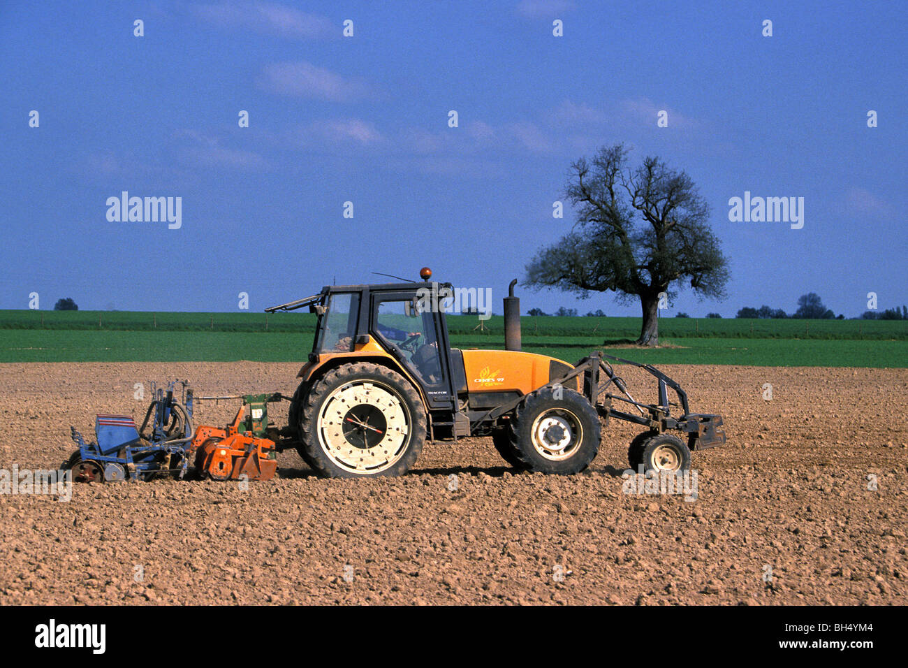 SOWING OF BARLEY Stock Photo - Alamy