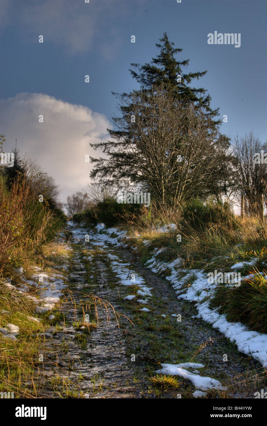 Old military road between Keith and Huntly, Moray. Season change from ...