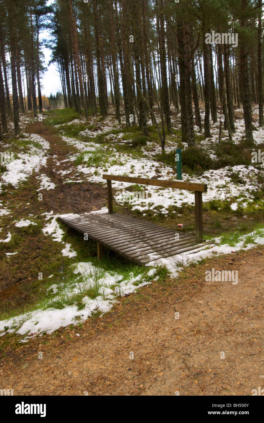 Small bridge and path uphill to Meikle Balloch Hill between dense ...