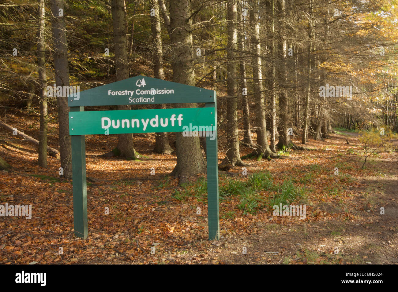Signpost of Forestry Commission in Dunnyduff Wood in autumn Stock Photo ...