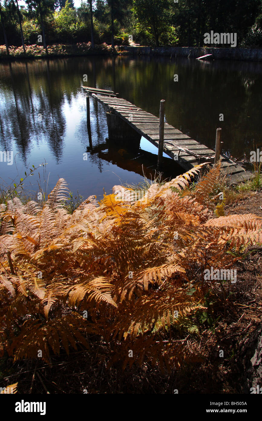 Fishing Lake Pond Jetty High Resolution Stock Photography and Images ...