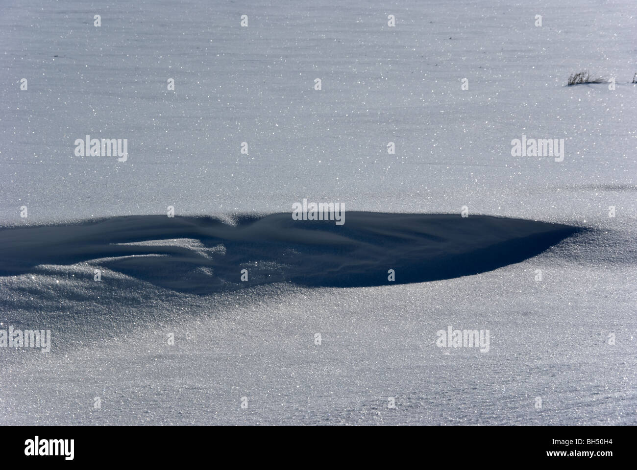 A frost-covered snowdrift sparkles in the sun with shadows showing ...