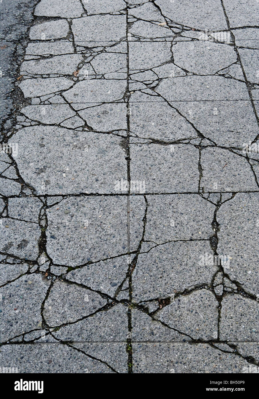Cracks in concrete pavement Stock Photo - Alamy