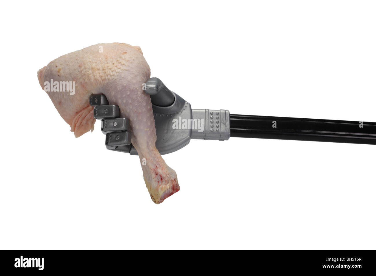 Robot raw chicken leg drumstick preparation food starving proteins meat ...