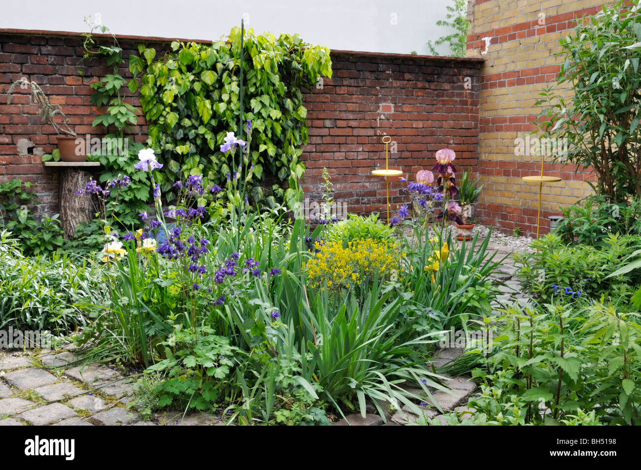 Perennial beds in a backyard garden. Design: Martina Breyer Stock Photo ...