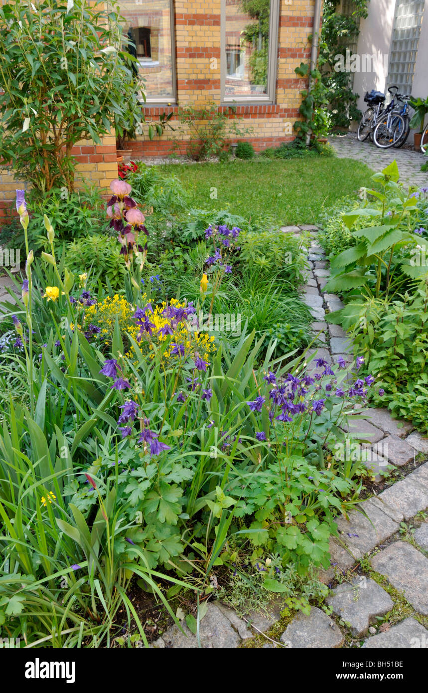 Perennial beds in a backyard garden. Design: Martina Breyer Stock Photo ...