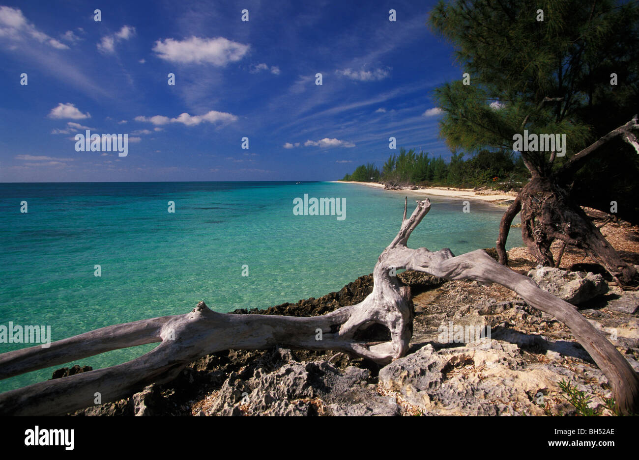 Grand Bahama Island High Resolution Stock Photography and Images - Alamy