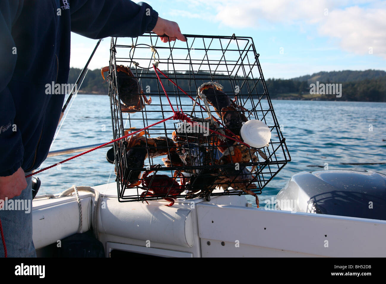 Crab trap hi-res stock photography and images - Alamy