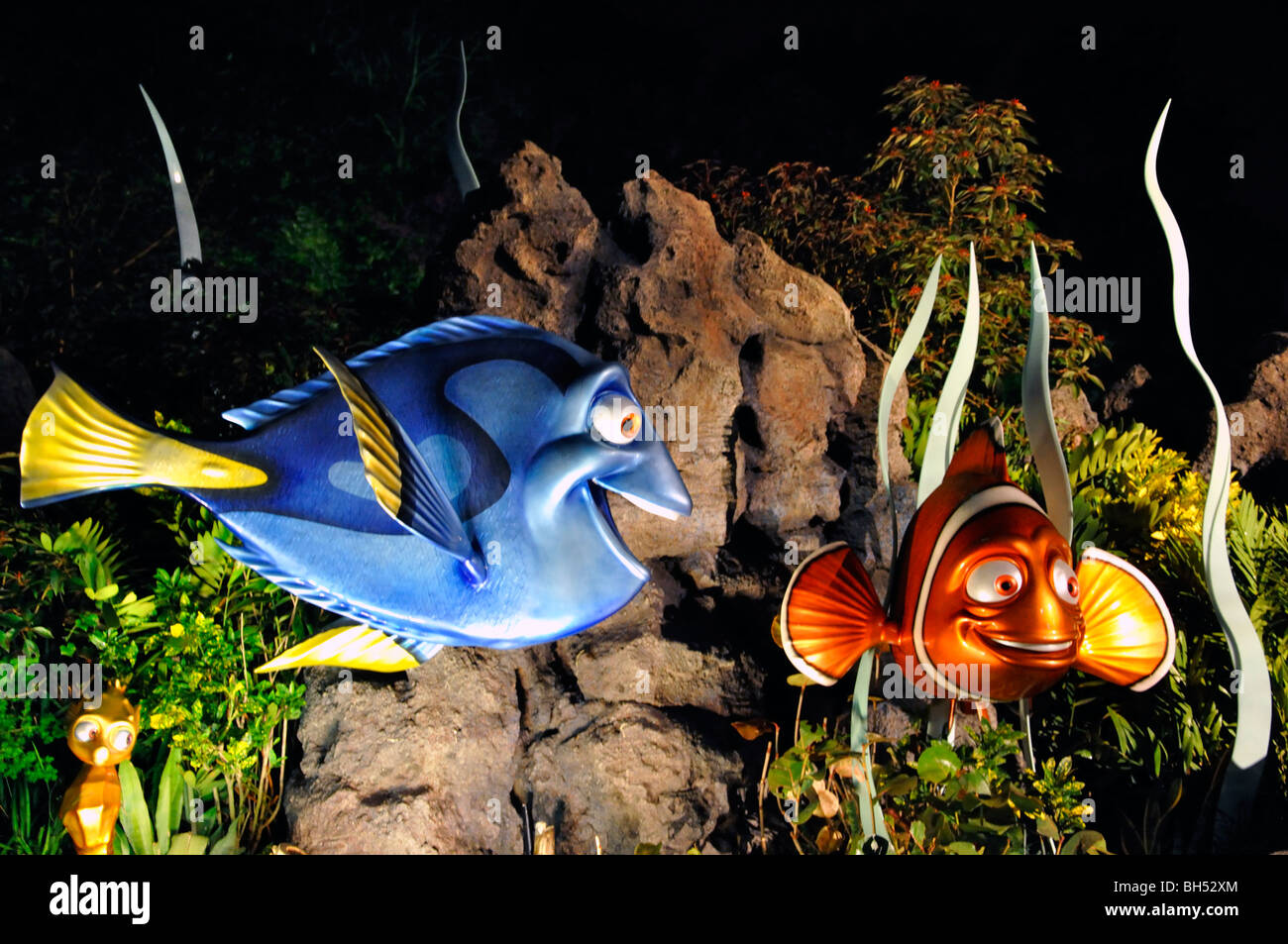 Orlando fish hi-res stock photography and images - Alamy