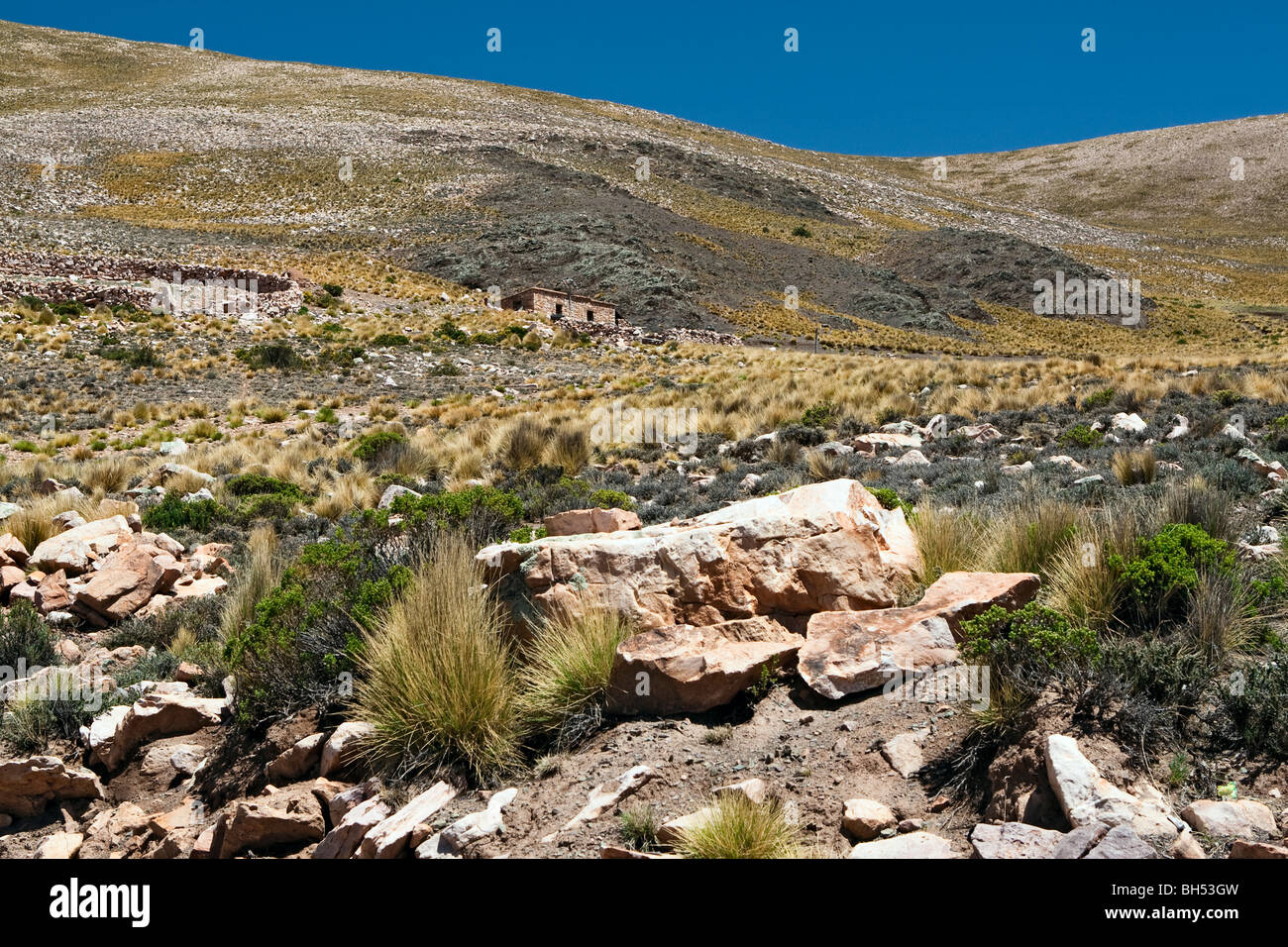 Panorama quemado hi-res stock photography and images - Alamy
