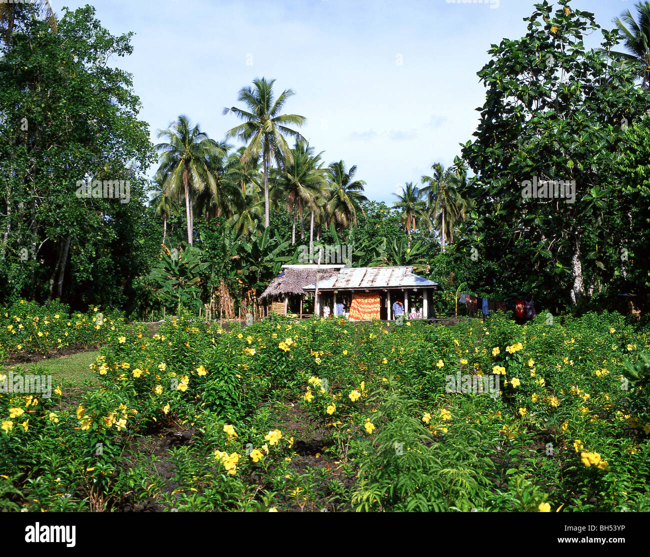 Small farm house, Upolu Island, Samoa Stock Photo - Alamy