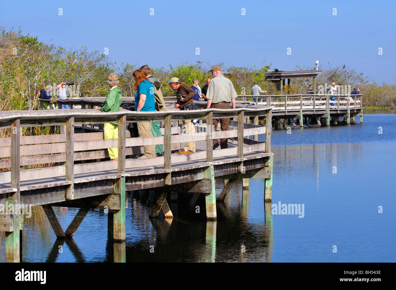 Usa visitors tourists people visitor tourist hi-res stock photography ...