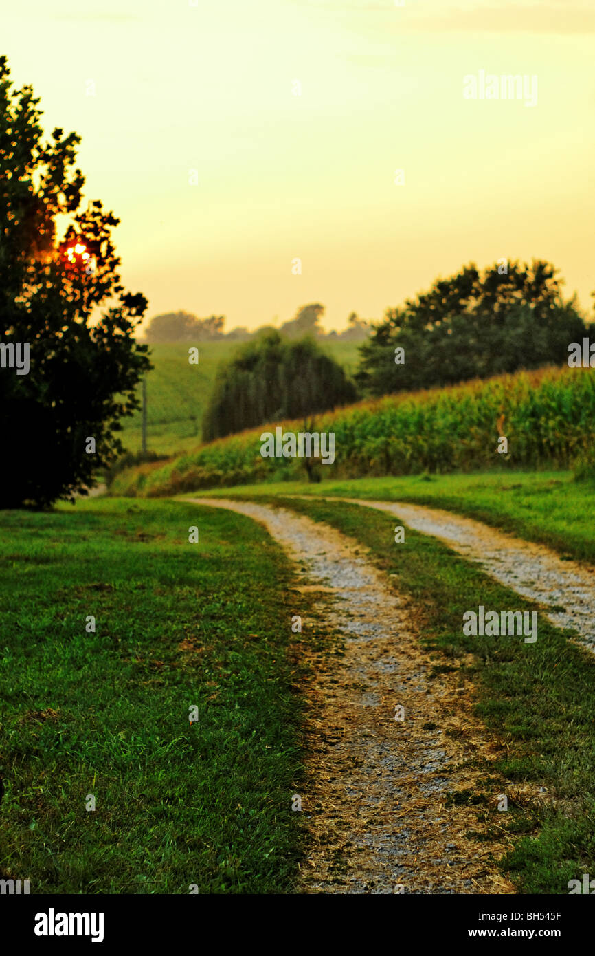 Gravel drive rural hi-res stock photography and images - Alamy