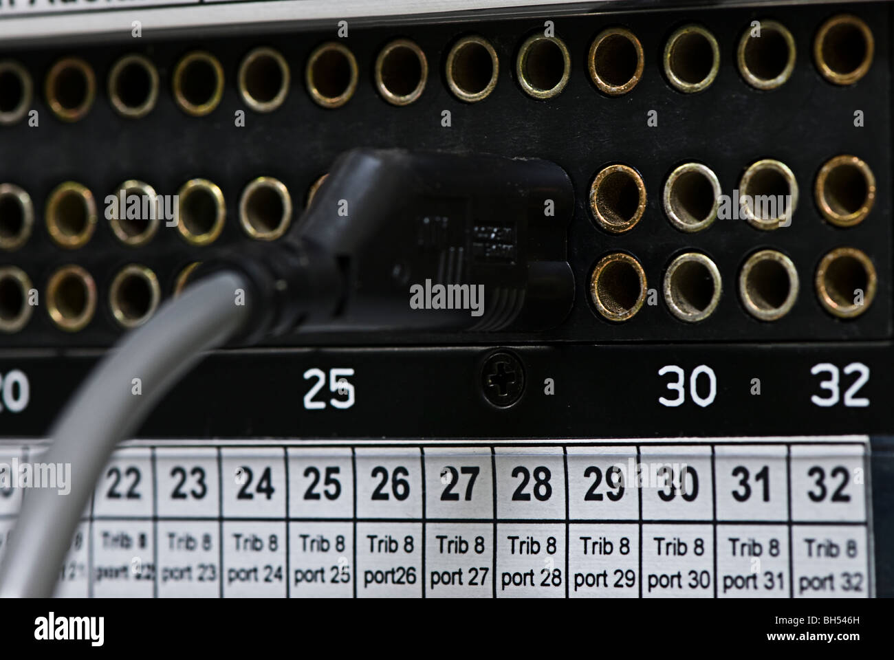 Network cables connected into the sockets in a data center Stock Photo ...