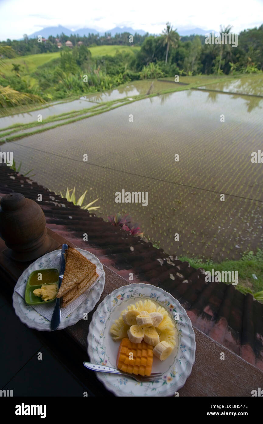 Simple Balinese Breakfast On Verandah Overlooking Rice Paddy Landscape