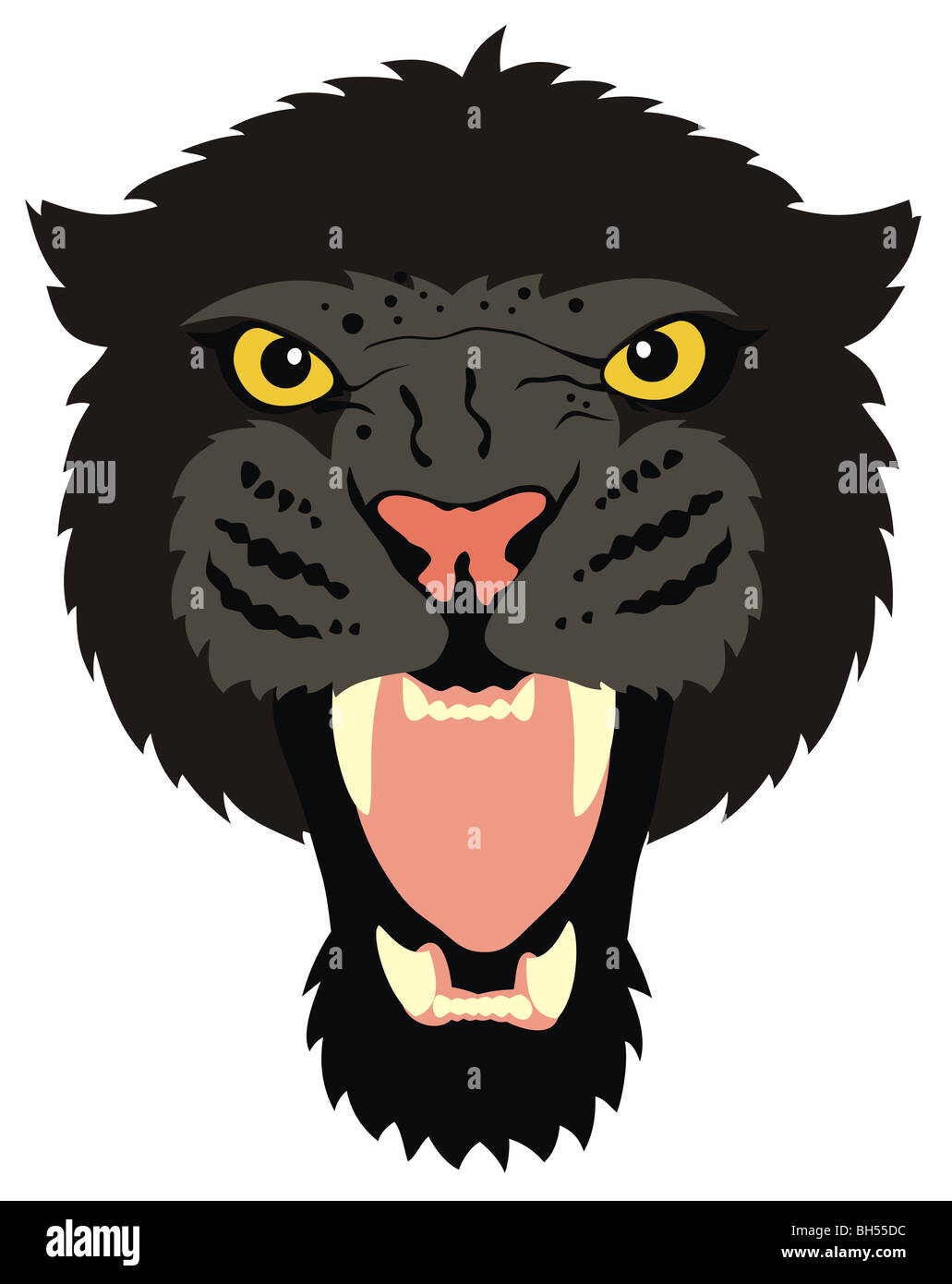 Puma head hi-res stock photography and images - Alamy