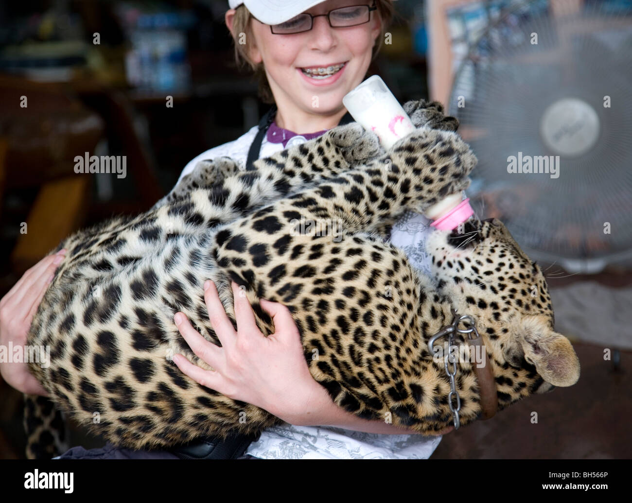 Baby leopard hi-res stock photography and images - Alamy