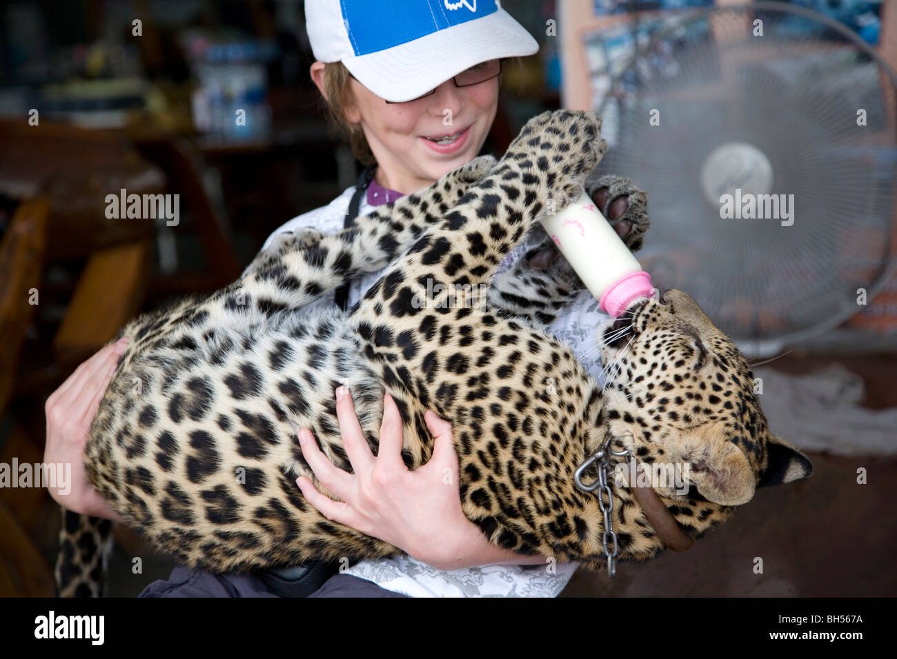 Boy Holding baby leopard Stock Photo - Alamy