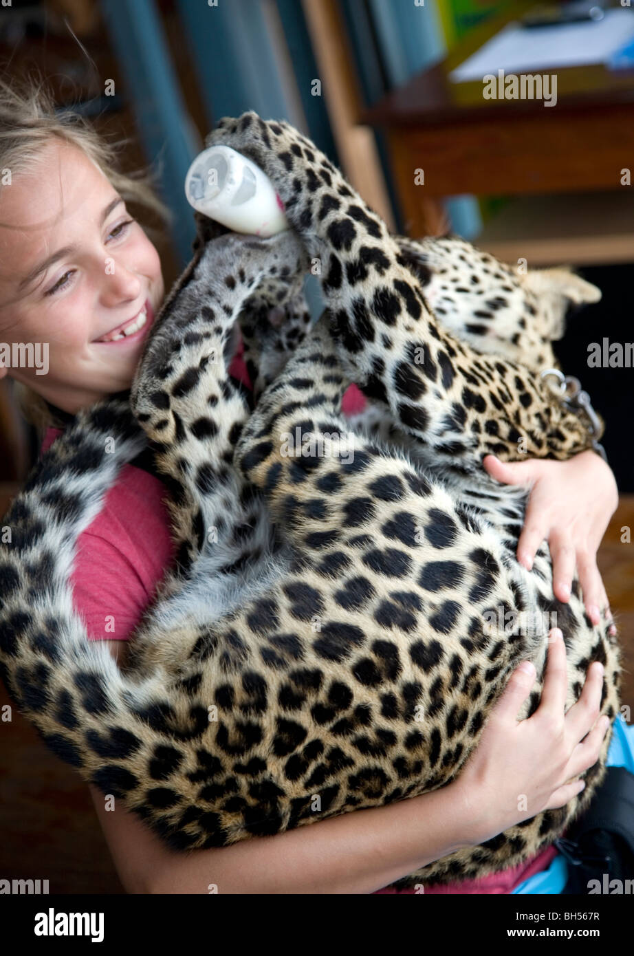 Girl Holding baby leopard Stock Photo - Alamy