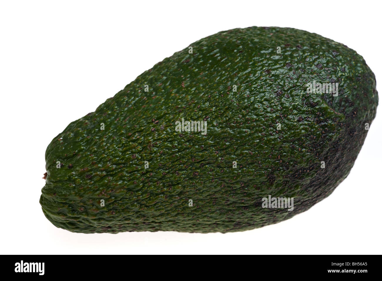 single avocado isolated on white background Stock Photo - Alamy