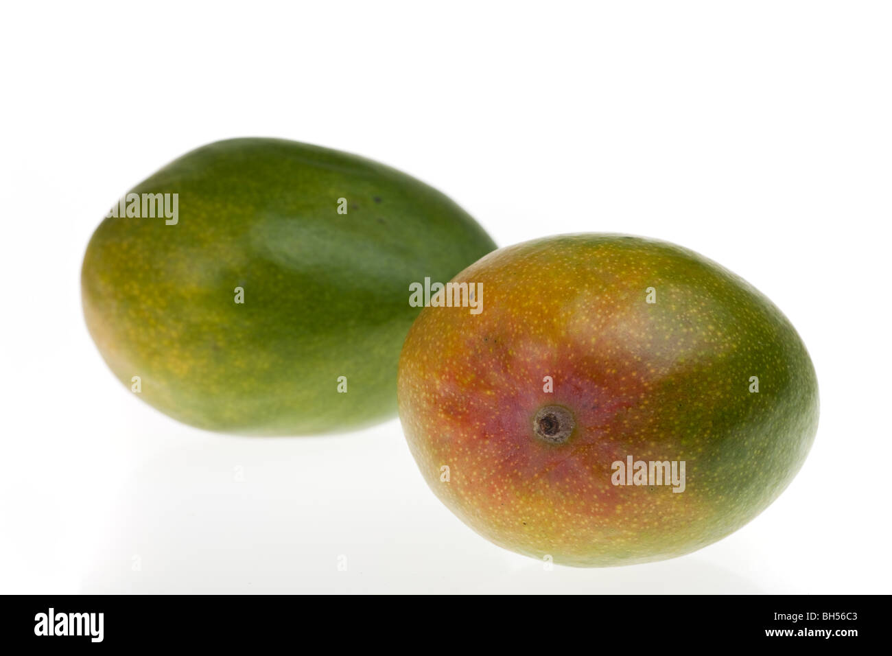 two mangos isolated on white background Stock Photo - Alamy