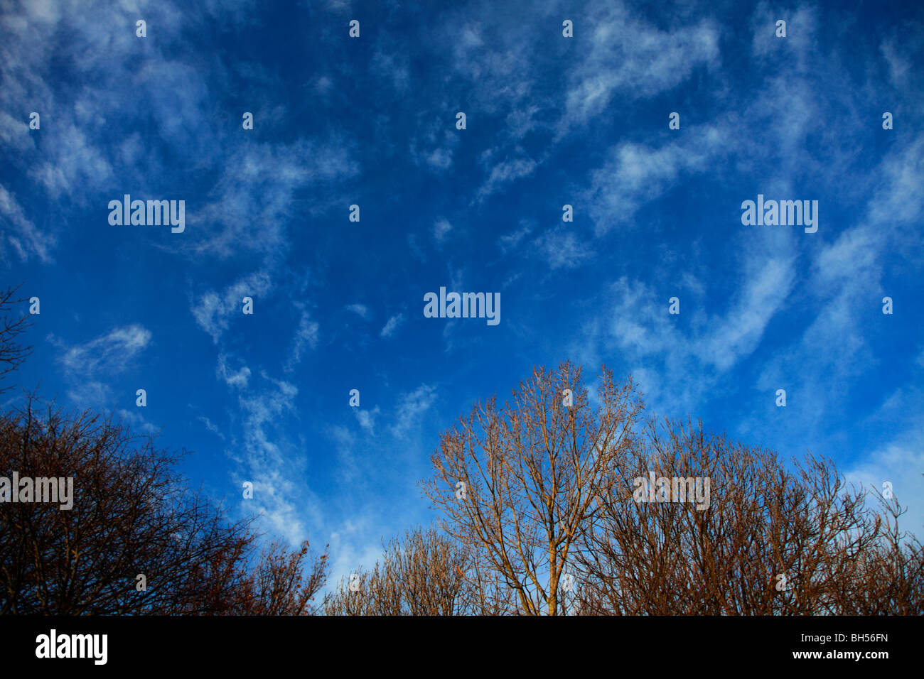 White Wispy Cirrus High clouds deep blue sky Stock Photo - Alamy White Wispy Cirrus High clouds deep blue sky Stock Photo - Alamy