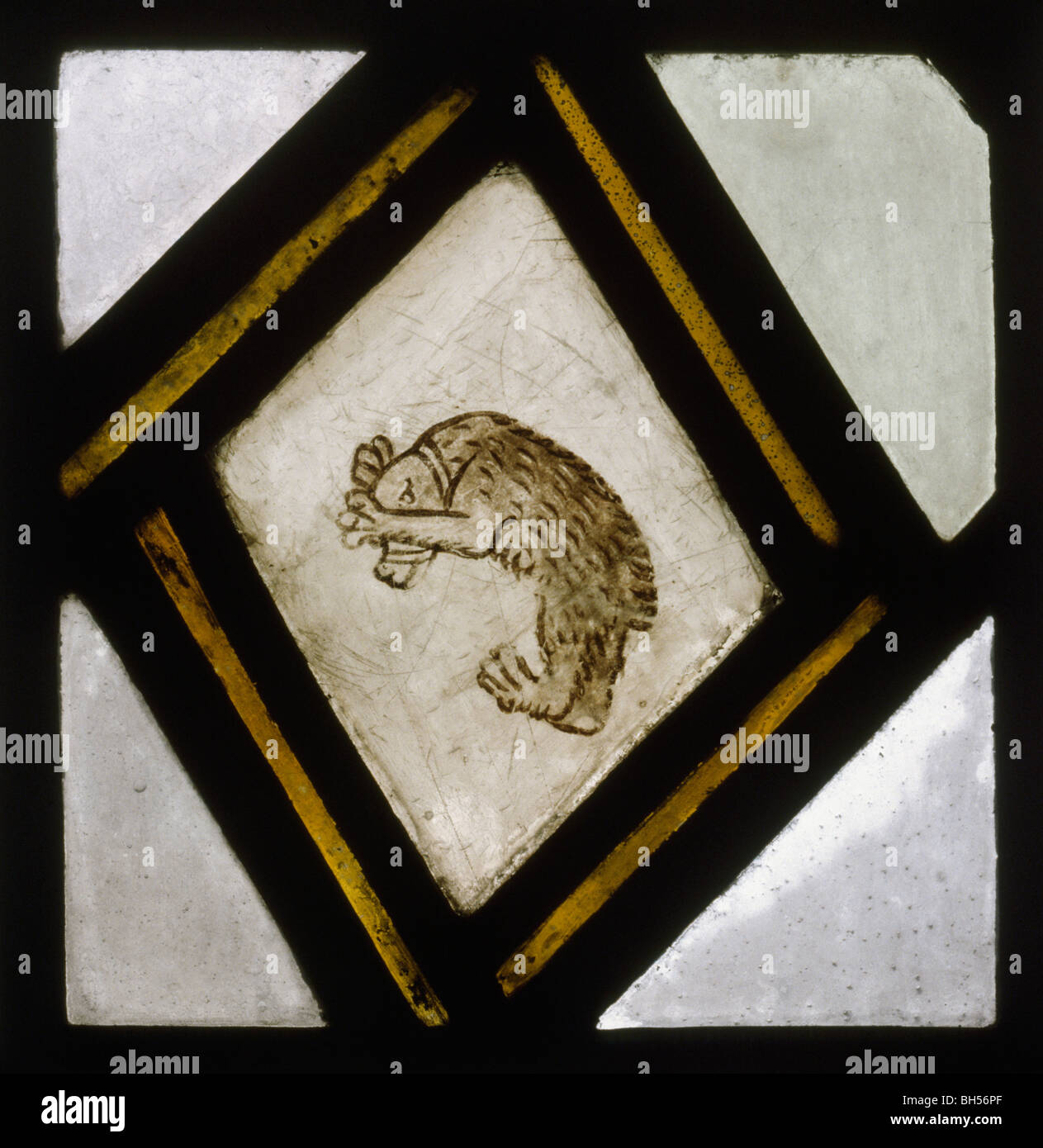 York Minster stained glass panel in the Zouche chapel, medieval. Bear ...