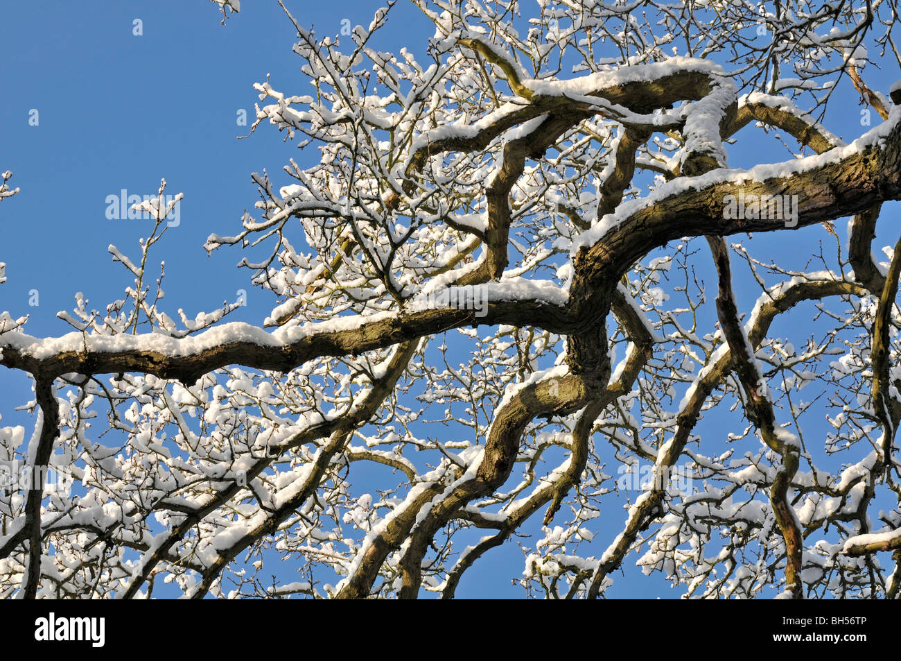 Covered harsh hi-res stock photography and images - Alamy