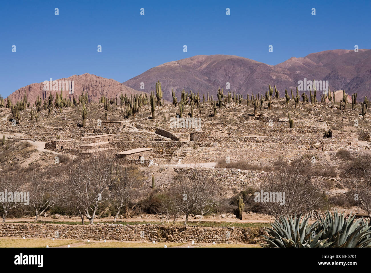 Pucara de Tilcara, Argentina, South America Stock Photo - Alamy