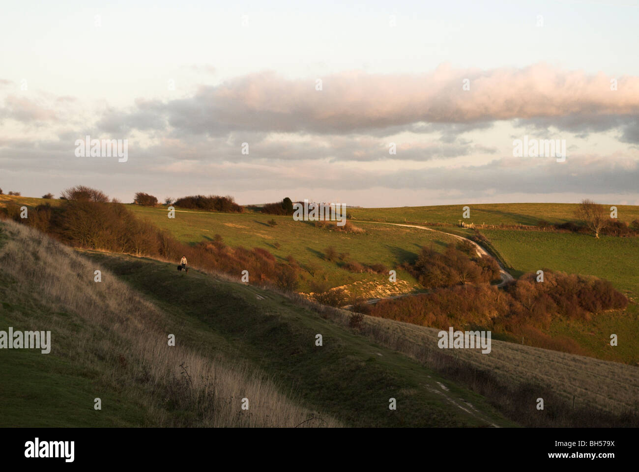 The southern ramparts of Cissbury Ring situated in the South Downs ...