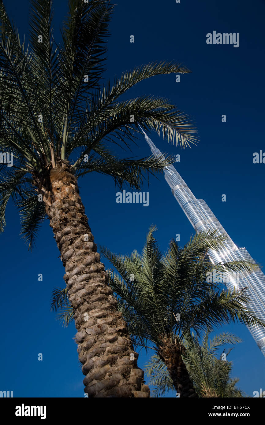 Dramatic angle Burj Khalifa building palm trees SEAT2 Stock Photo - Alamy