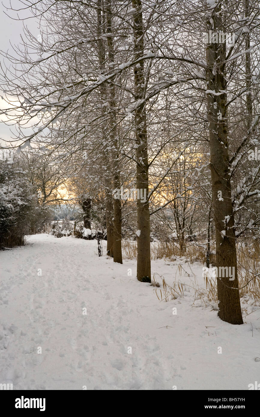 Buckinghamshire countryside in snow hi-res stock photography and images ...