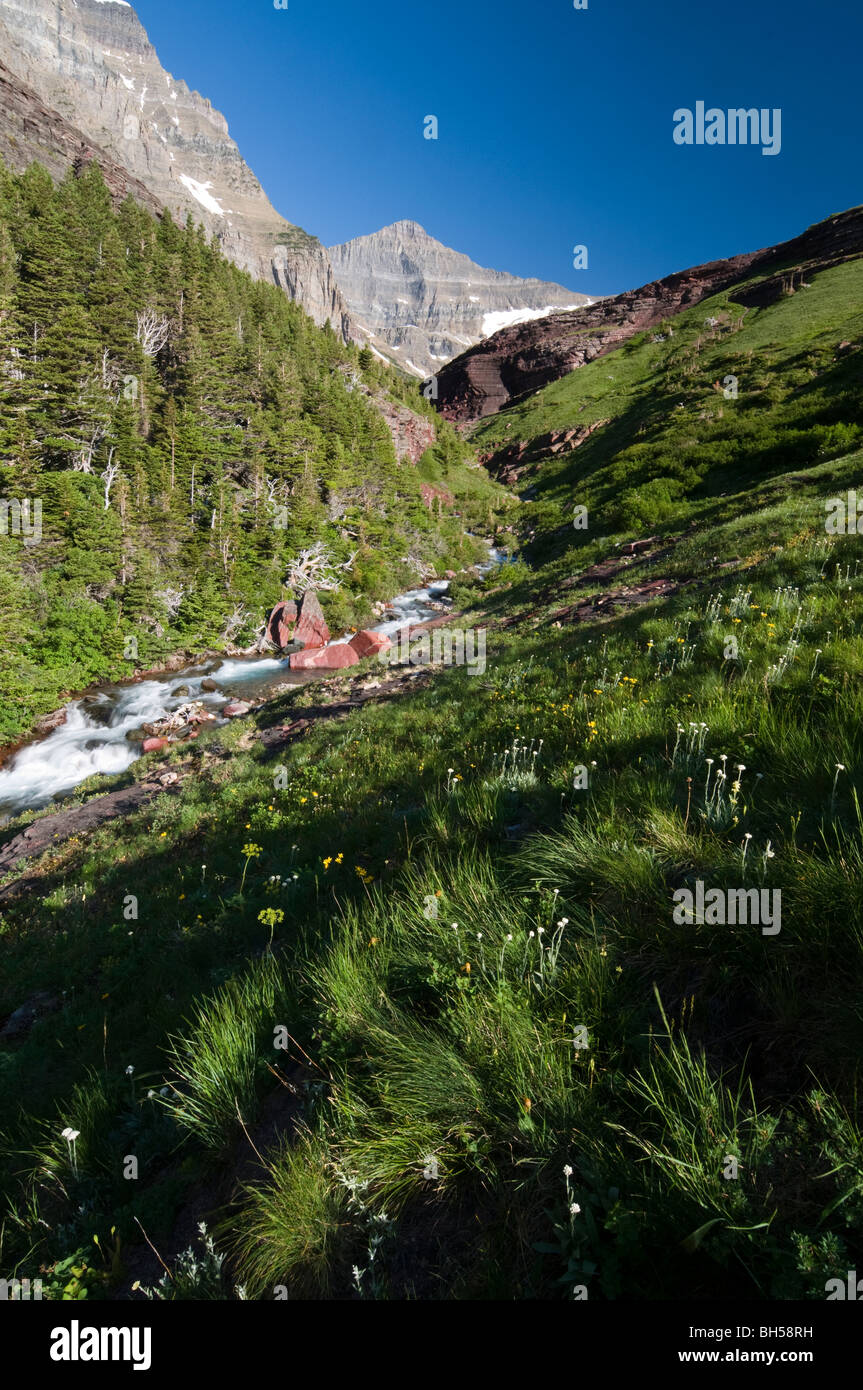 Lush green slopes hi-res stock photography and images - Alamy