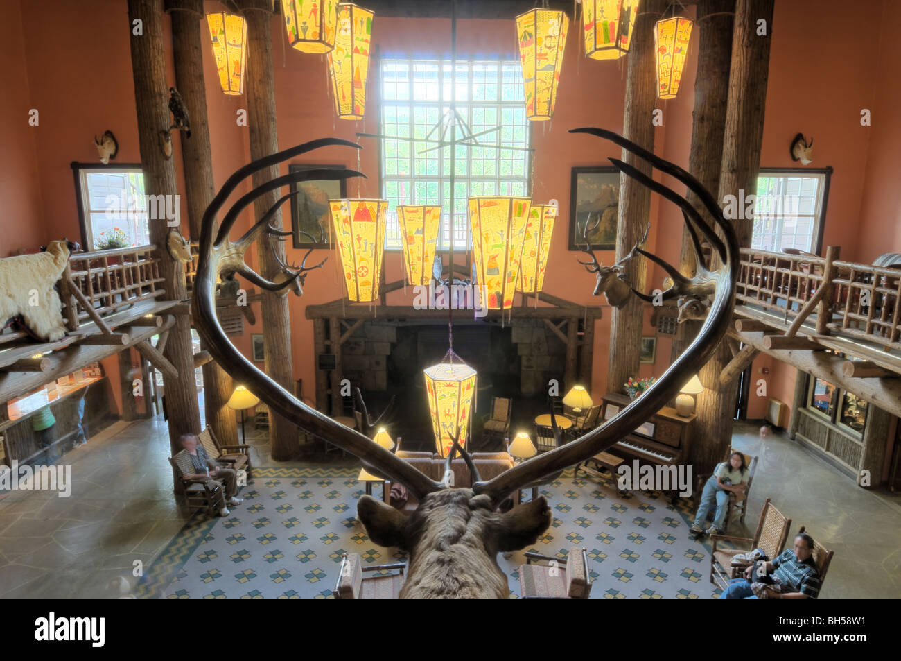 Bull elk head mounted in interior of historic Lake McDonald Lodge Stock ...