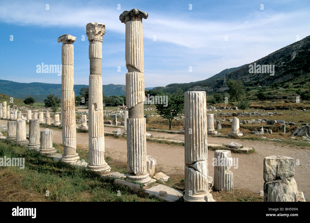 Turkey, Ephesus (Ephes). The archeological site Stock Photo - Alamy