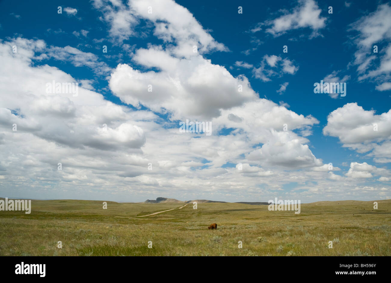 Vast open plains hi-res stock photography and images - Alamy