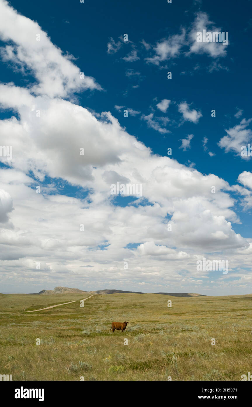 Vast open plains hi-res stock photography and images - Alamy